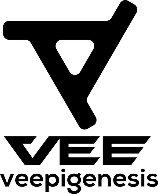 Sony Music 新虛擬偶像企劃「VEE」公開！超過 50 名以上 VTuber 全面攻佔實況．動畫．音樂．聲優．創作各領域 | 遊戲基地 ...