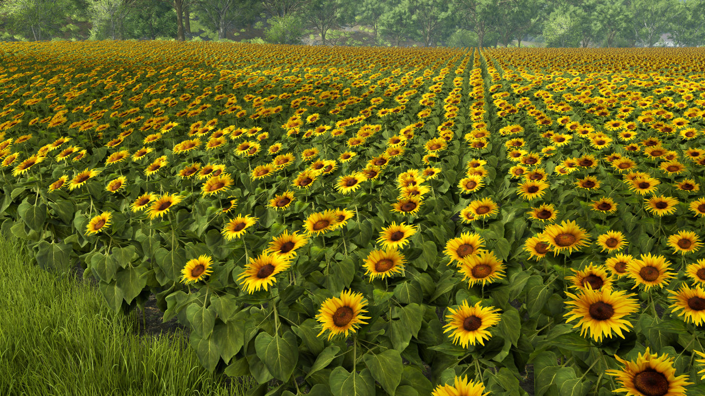 《Farming Simulator 25》11/12 發售！盒裝版預購開跑 | 遊戲基地 Gamebase