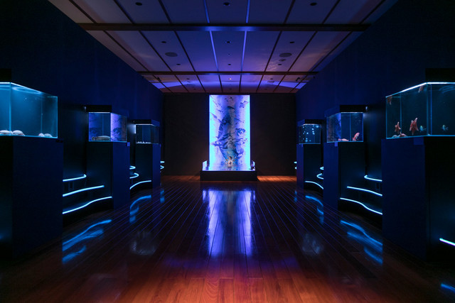 《海獸的孩子》史無前例在海上舉行MV首播!!纖細畫面與米津歌聲，傳達對自然的敬畏感 | 遊戲基地 Gamebase