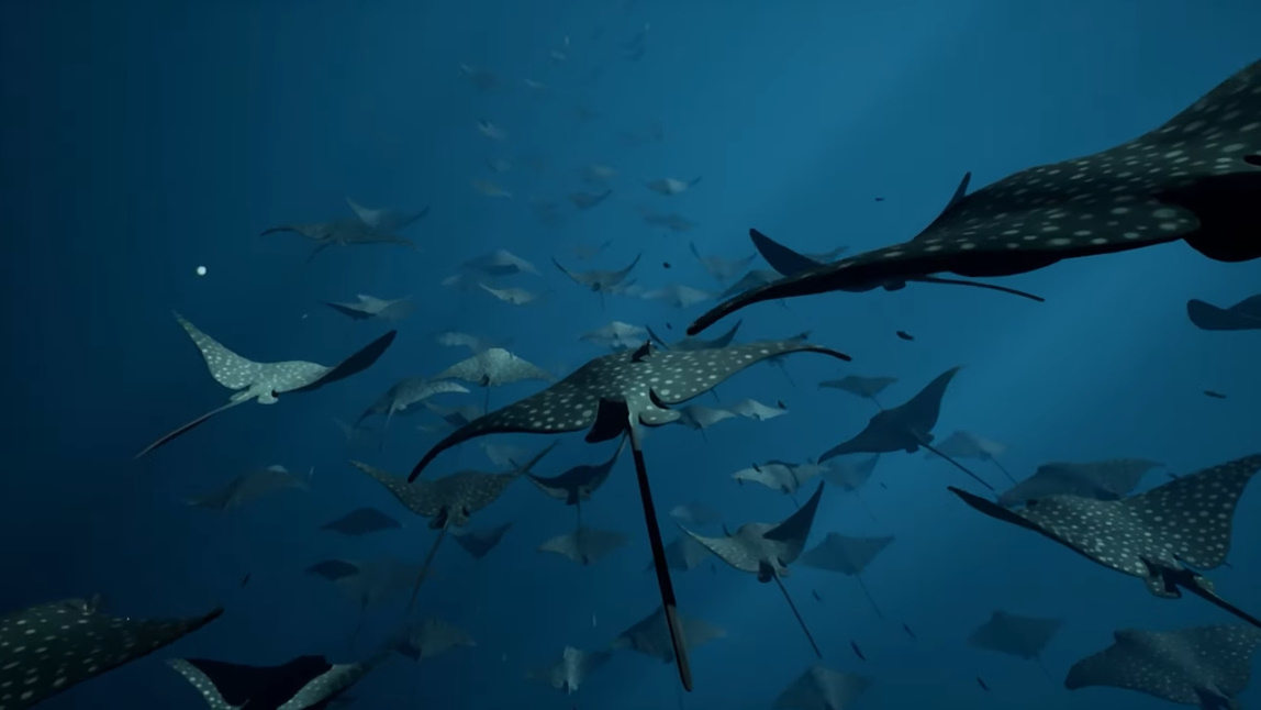 日本學生開發 UE5 遊戲《Whale Fall》公開首部預告片，來一趟壯大的神秘海洋之旅 | 遊戲基地 Gamebase