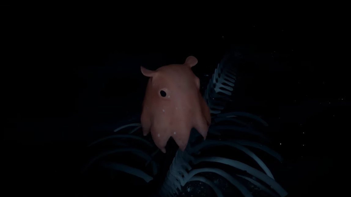 日本學生開發 UE5 遊戲《Whale Fall》公開首部預告片，來一趟壯大的神秘海洋之旅 | 遊戲基地 Gamebase